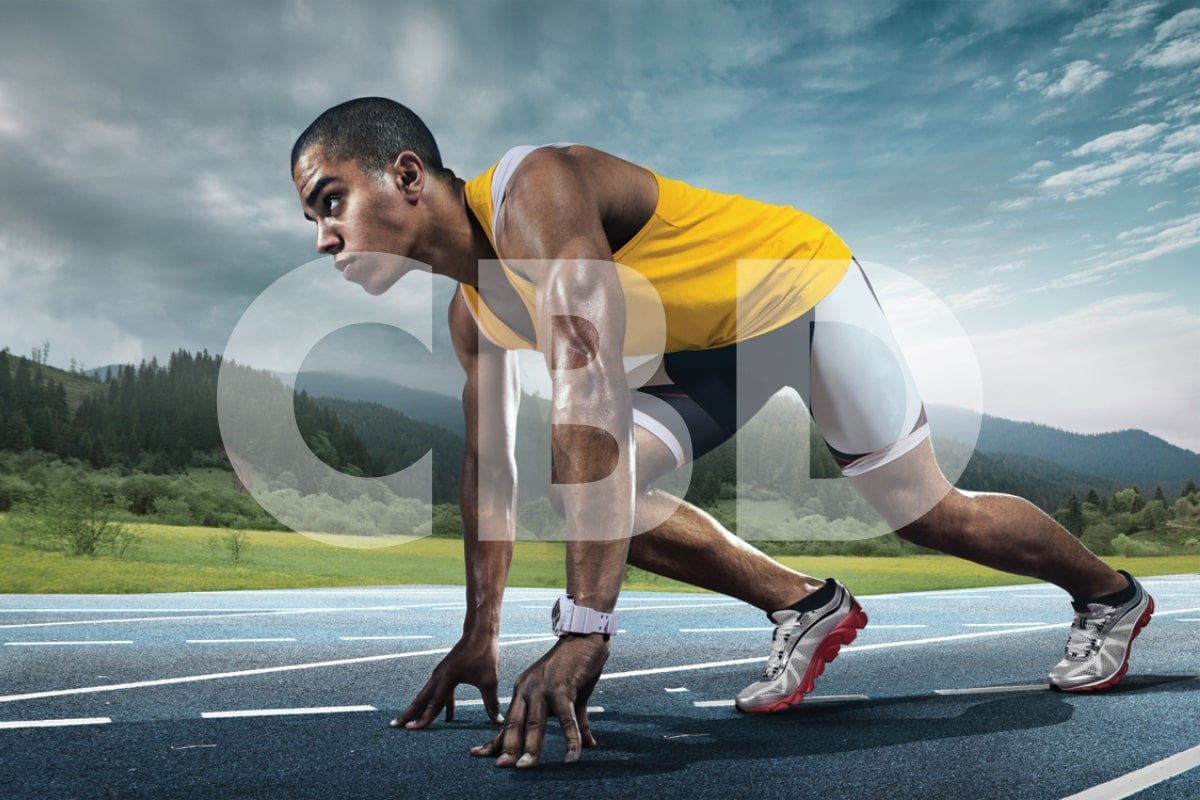 Scientists Say CBD Boosts Athletic Performance - Fitneass Scientists Say CBD Boosts Athletic Performance - Fitneass